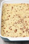 Pecan Nut Pie Crust Recipe - Adventures of Mel
