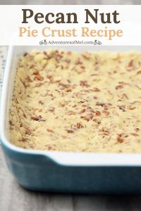 Pecan Nut Pie Crust Recipe - Adventures of Mel