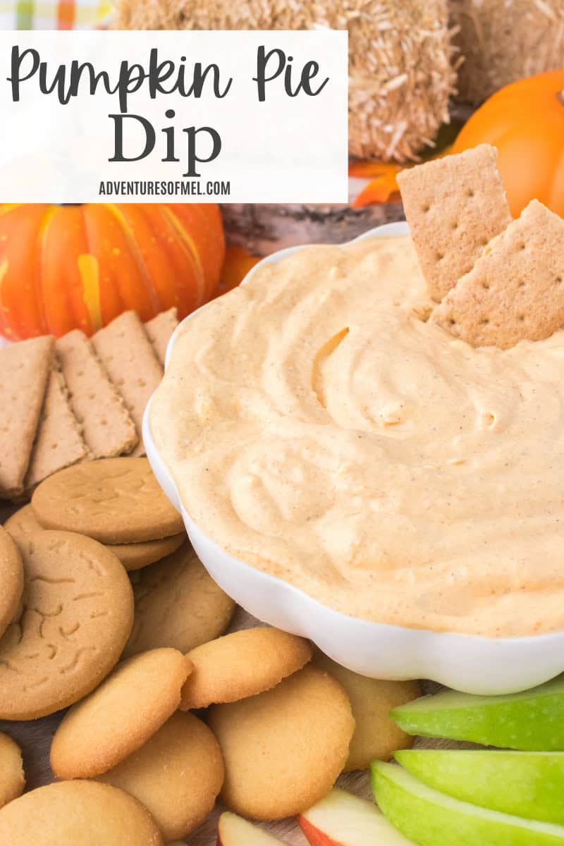 Fluffy Pumpkin Dip Recipe (Easy No Bake Fall Dessert or Appetizer ...
