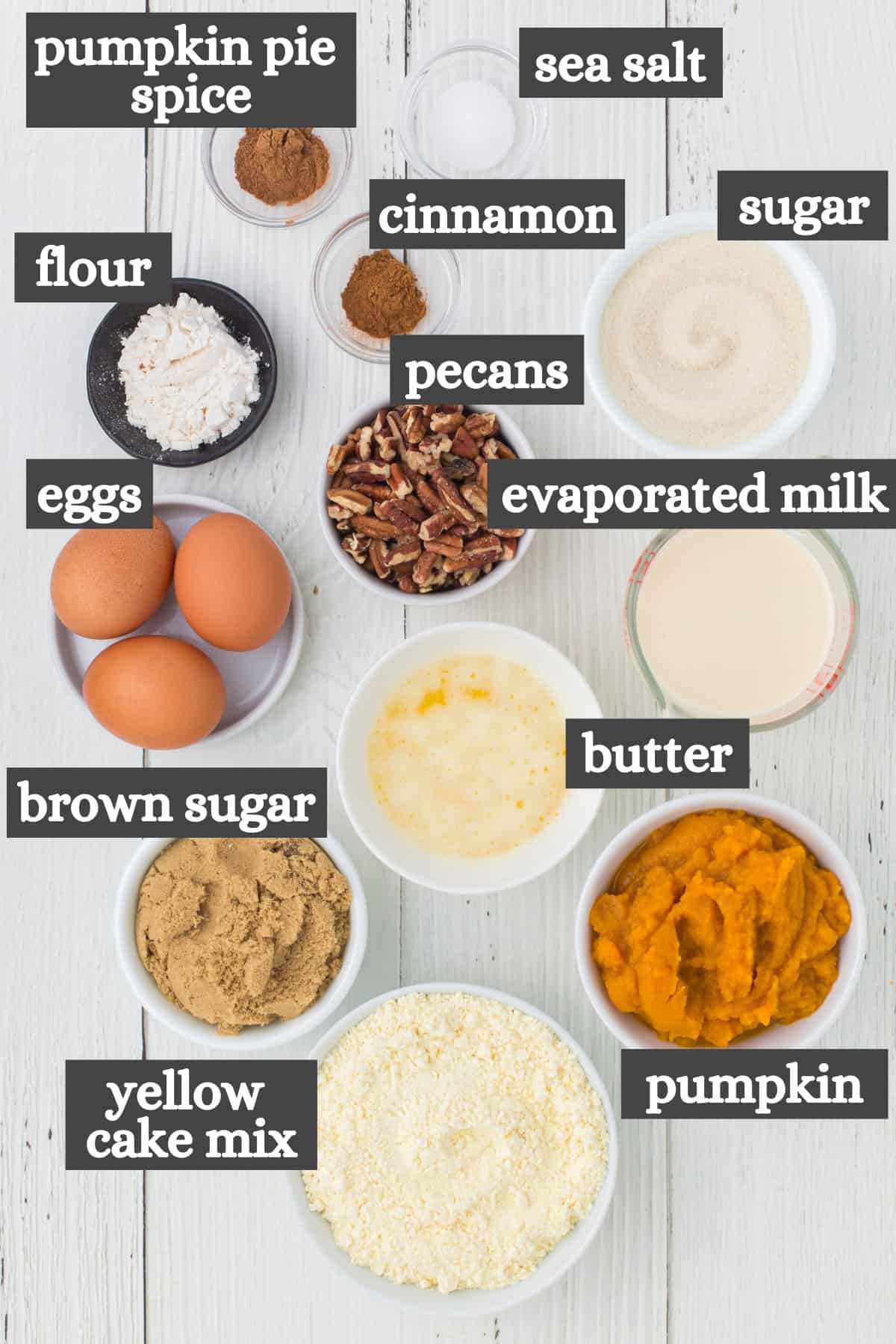 Cozy Pumpkin Pie Cake with Cake Mix - Adventures of Mel