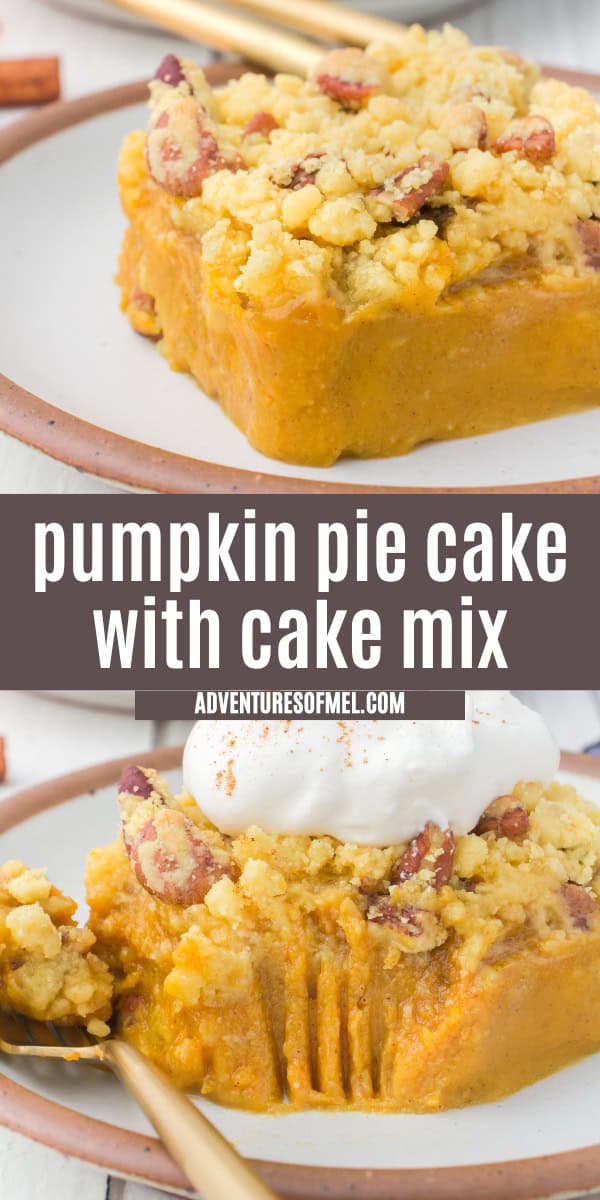Cozy Pumpkin Pie Cake with Cake Mix - Adventures of Mel